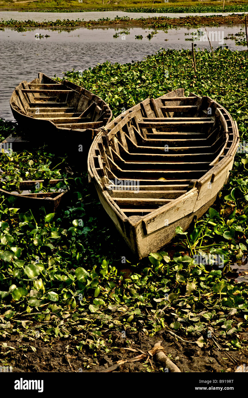 Upper assam hi-res stock photography and images - Alamy