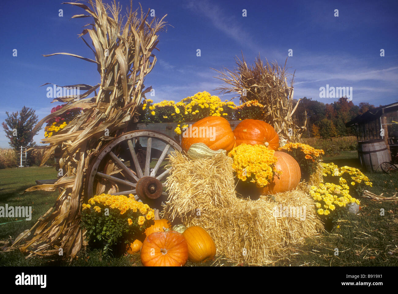 Abundance and prosperity hi-res stock photography and images - Alamy