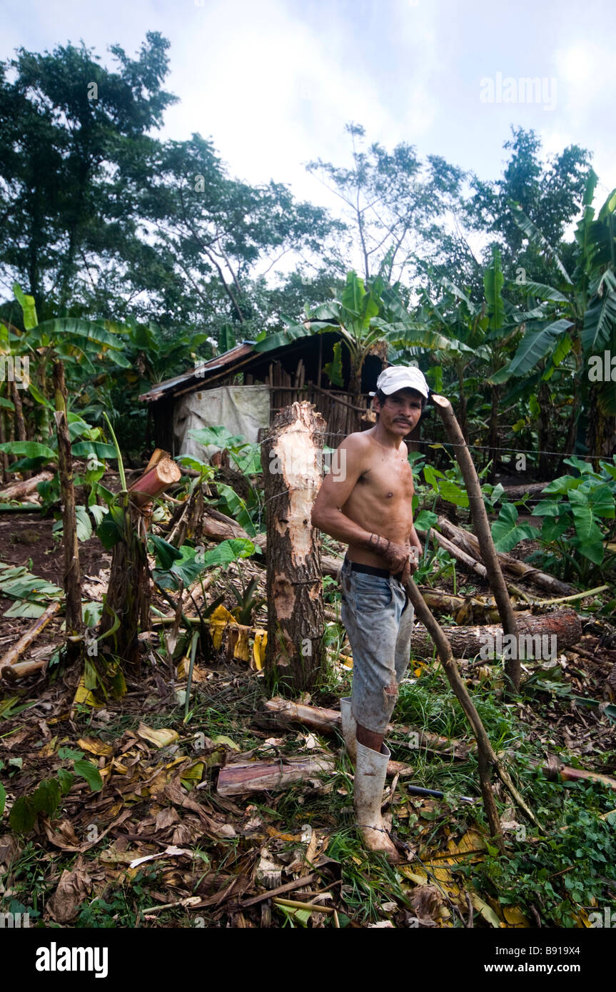 Jungle home latin america hi-res stock photography and images - Alamy