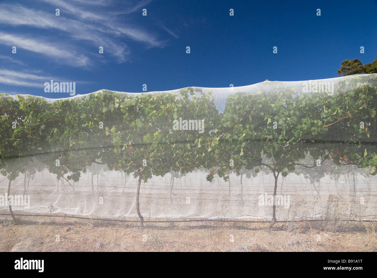 Nets netting hi-res stock photography and images - Alamy