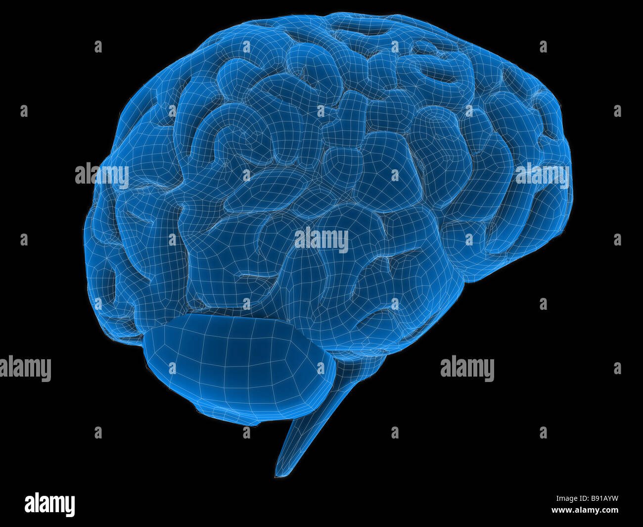 Digital brain hi-res stock photography and images - Alamy