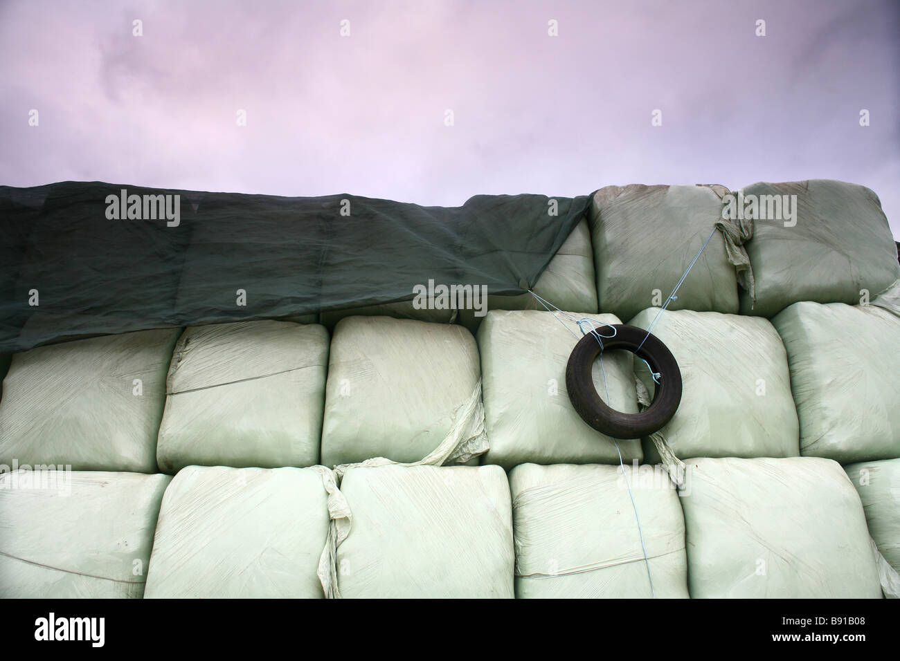 Hay ball in Denmark Stock Photo - Alamy