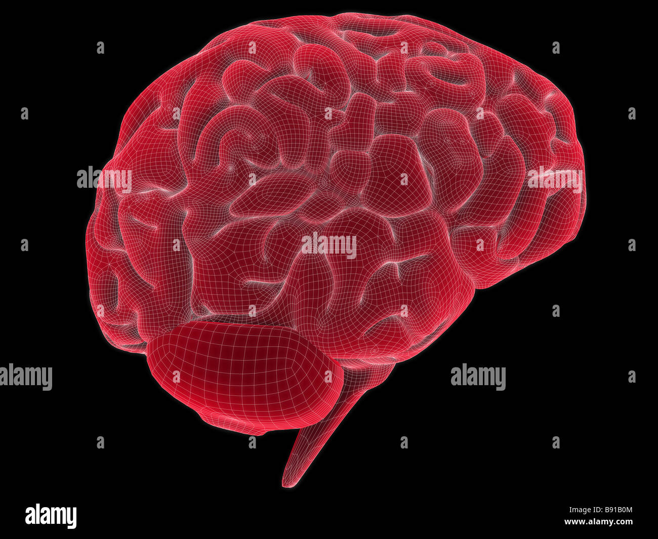 Wire brain hi-res stock photography and images - Alamy
