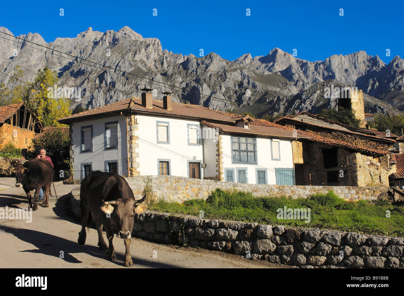Mogrovejo and picos de europa cantabria hi-res stock photography and ...