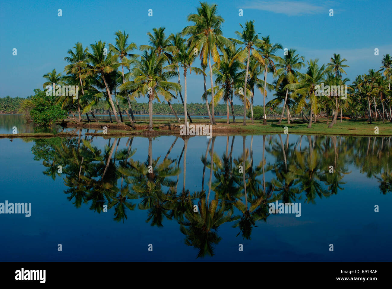 Landscape of kerala hi-res stock photography and images - Alamy
