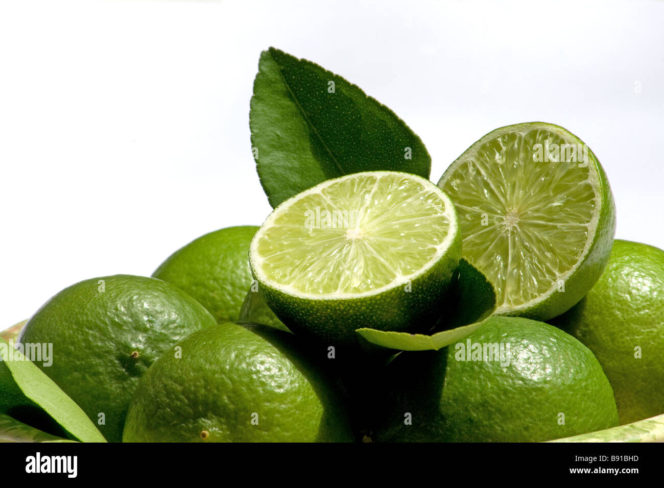 Super fragrant plant hi-res stock photography and images - Alamy