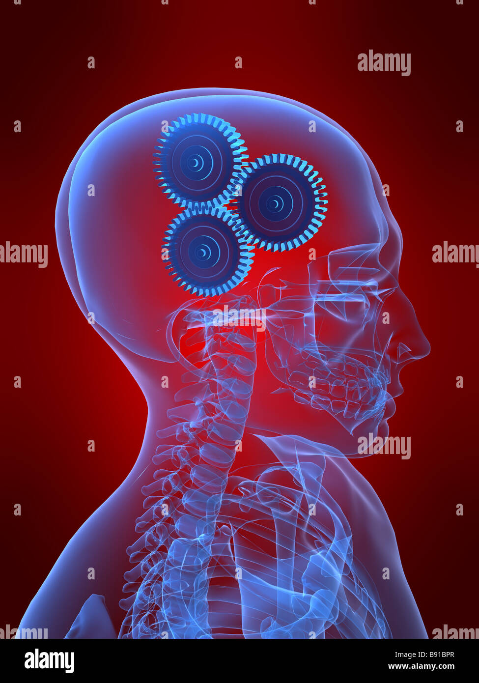 Head cog wheel in brain hi-res stock photography and images - Alamy