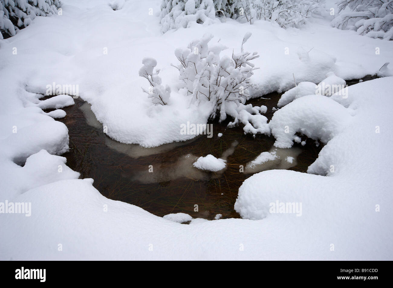 Water pull i snow, landscape and winter Stock Photo - Alamy