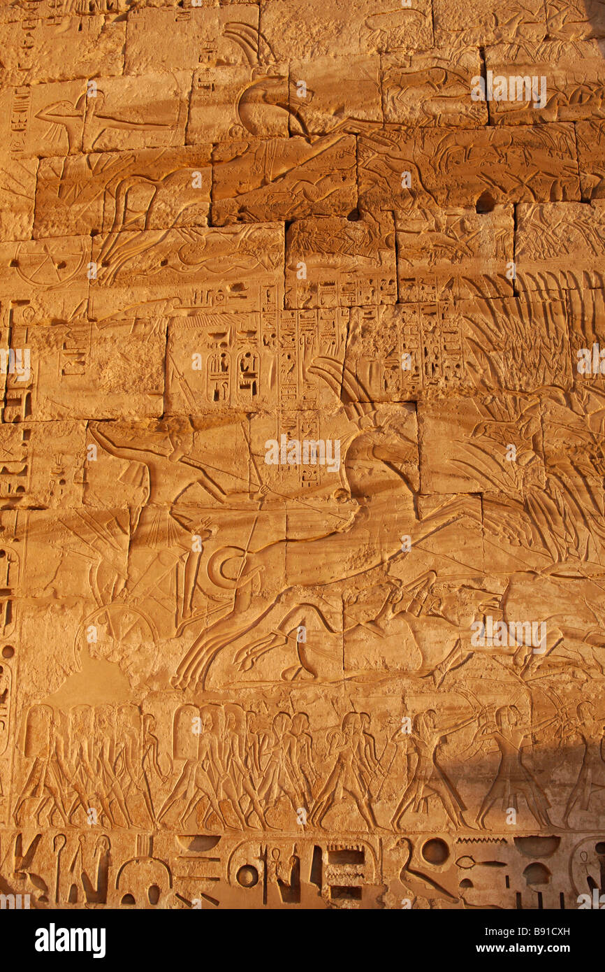 Relief of Pharaoh Ramesses III bull hunting scene carved on pylon wall ...