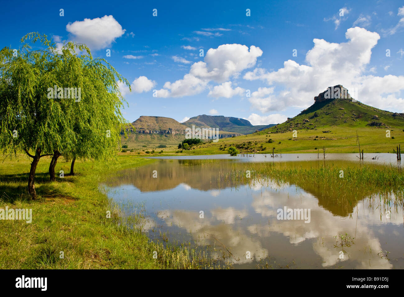 Near Clarens, Free Orange State, South Africa Stock Photo - Alamy