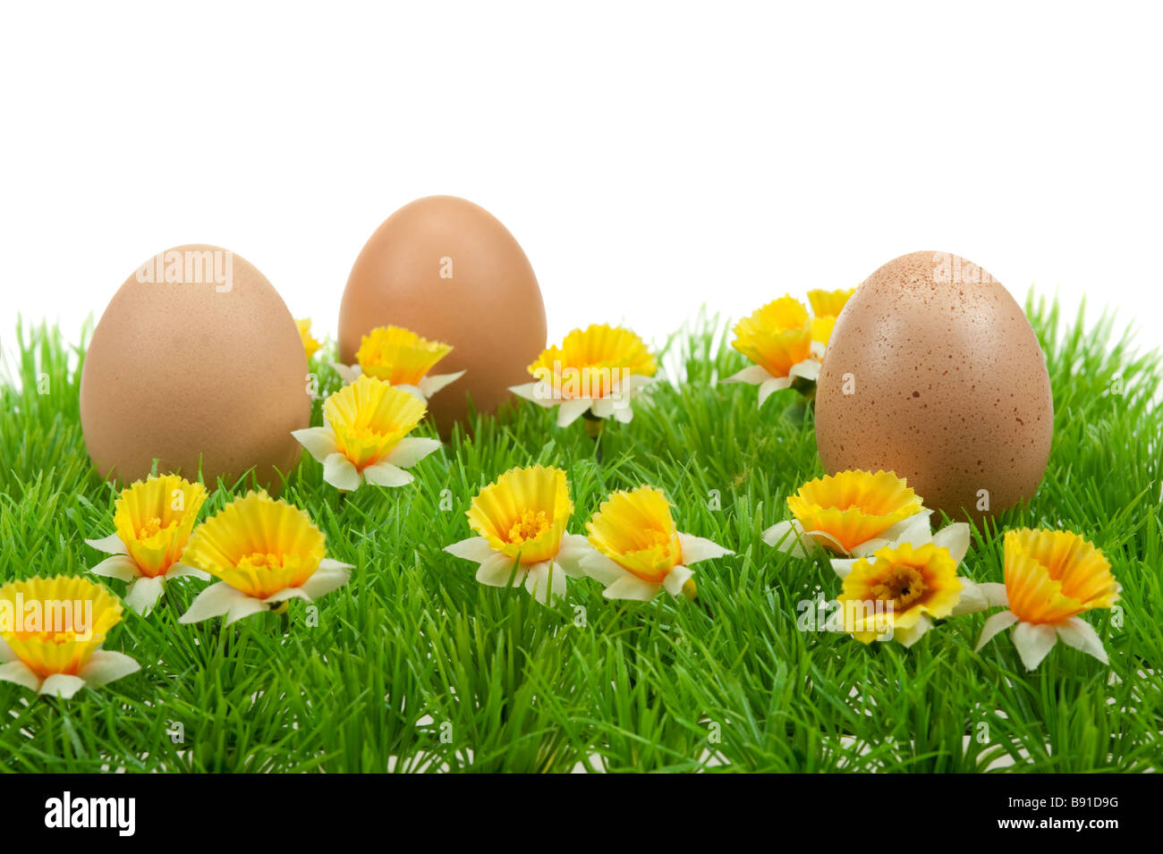 easter eggs in spring isolated on a white background Stock Photo - Alamy
