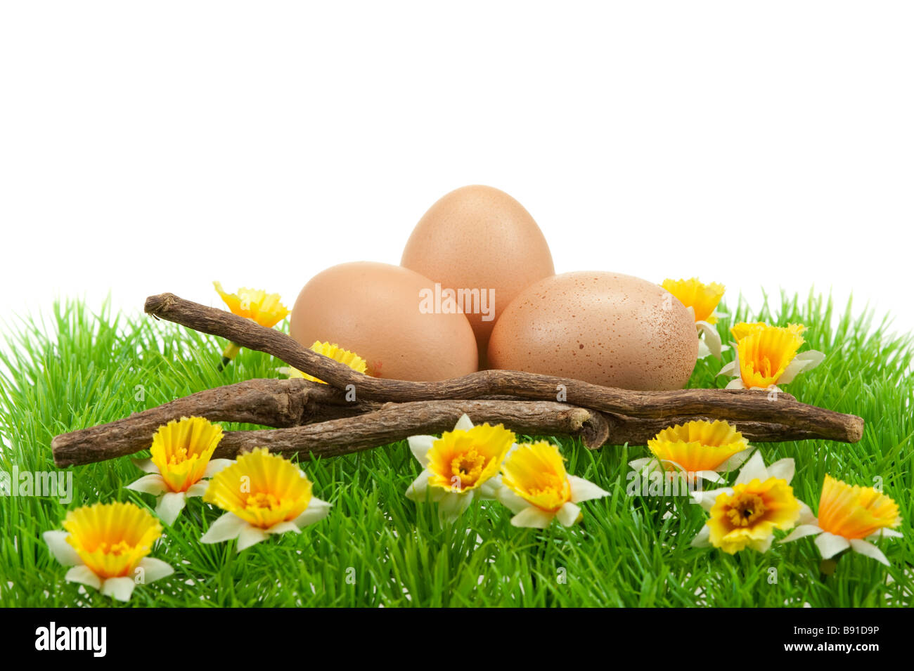 easter eggs in spring isolated on a white background Stock Photo - Alamy