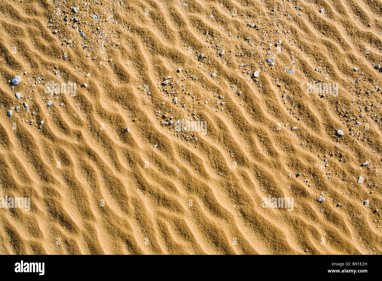 Rippled sand , close up of desert floor, Sahara , Egypt , Africa Stock ...