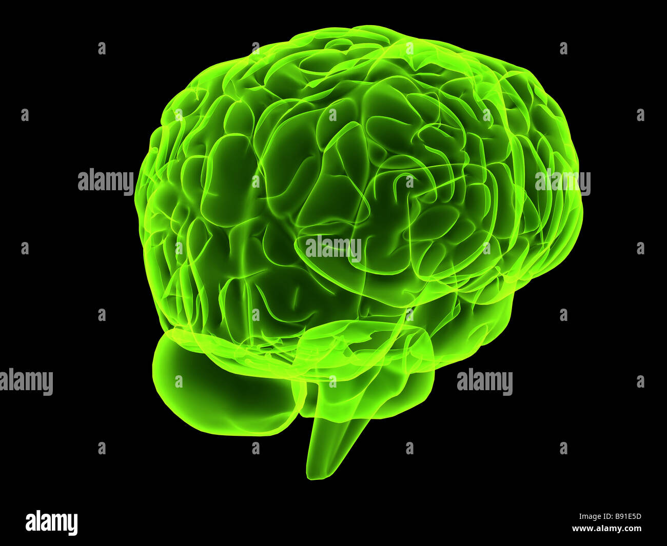 Brain 3d hi-res stock photography and images - Alamy
