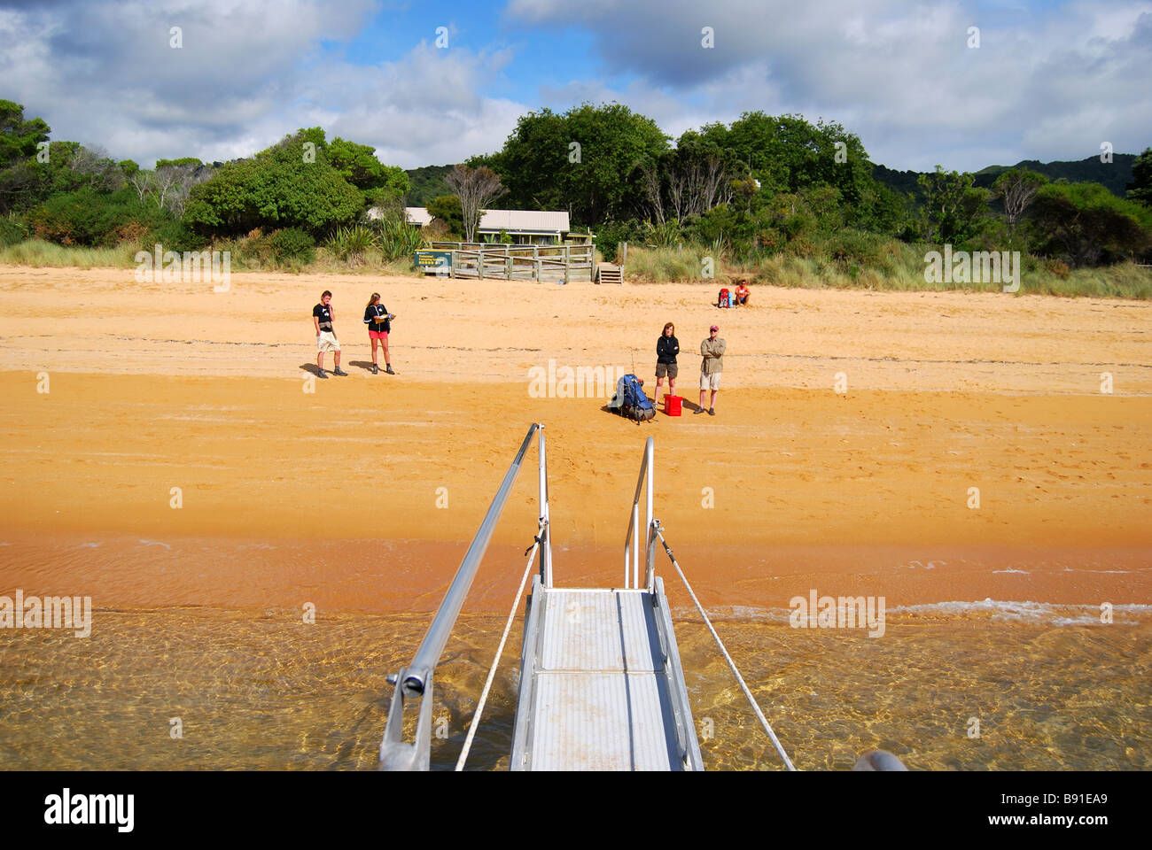 Totaranui Beach, Abel Tasman National Park, Tasman, South Island, New ...