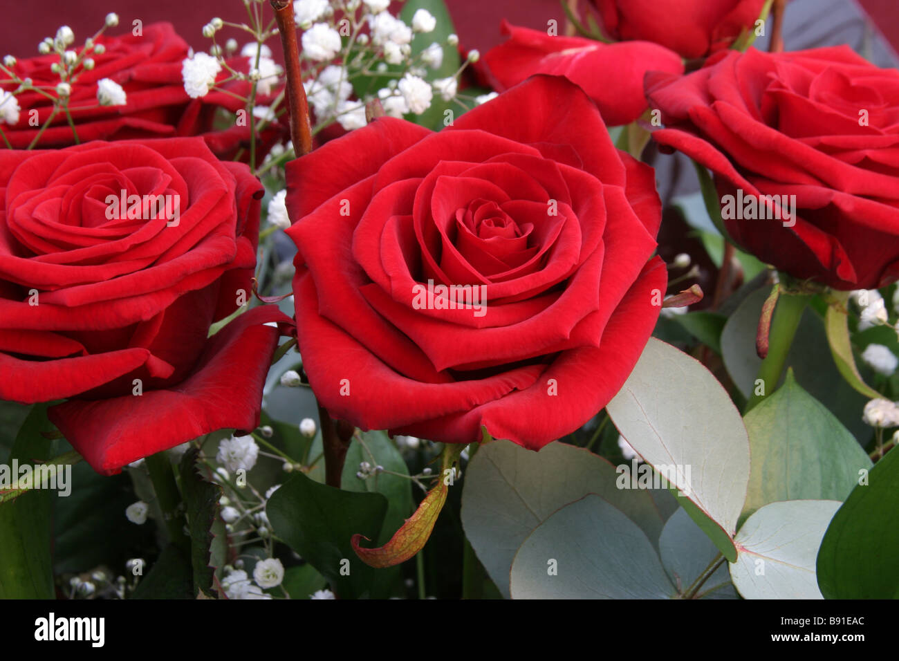 bouquet of red roses Stock Photo - Alamy