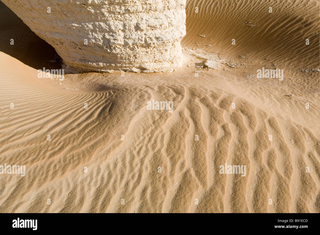 Wind sculpted rippled sand around a boulder on desert floor, Sahara ...