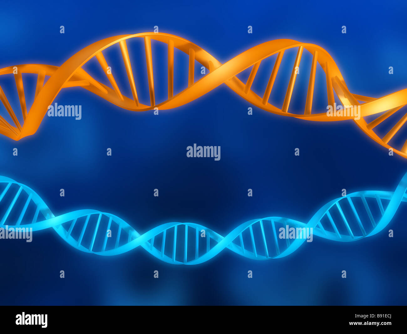 Gene models hi-res stock photography and images - Alamy