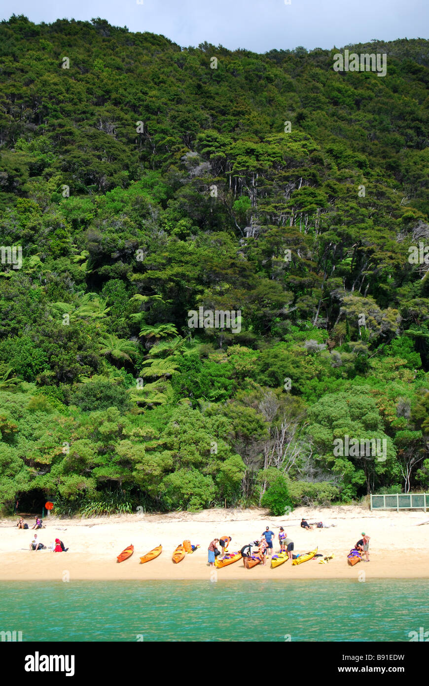 Tonga Bay, Abel Tasman National Park, Tasman, South Island, New Zealand ...