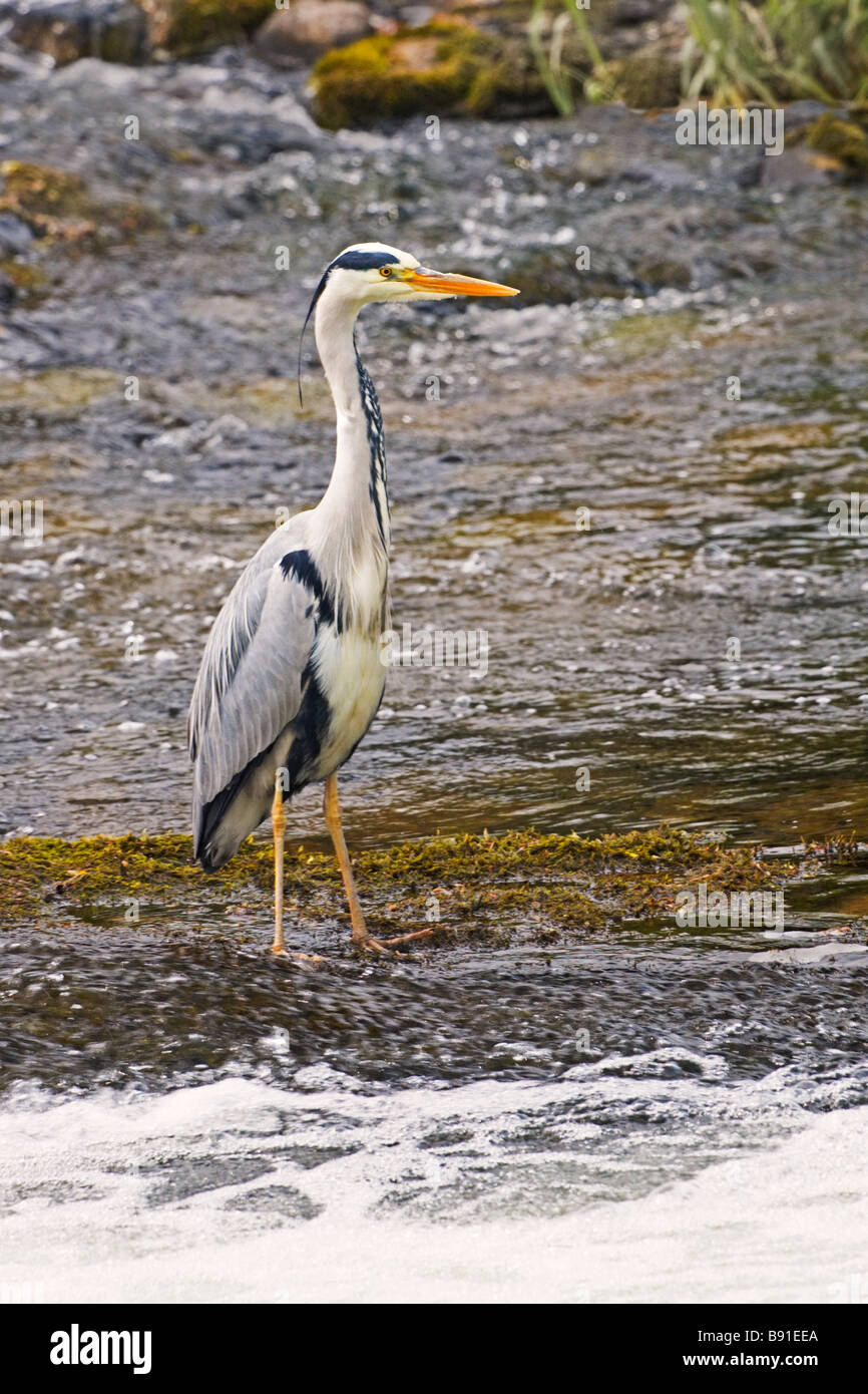 River jed water hi-res stock photography and images - Alamy