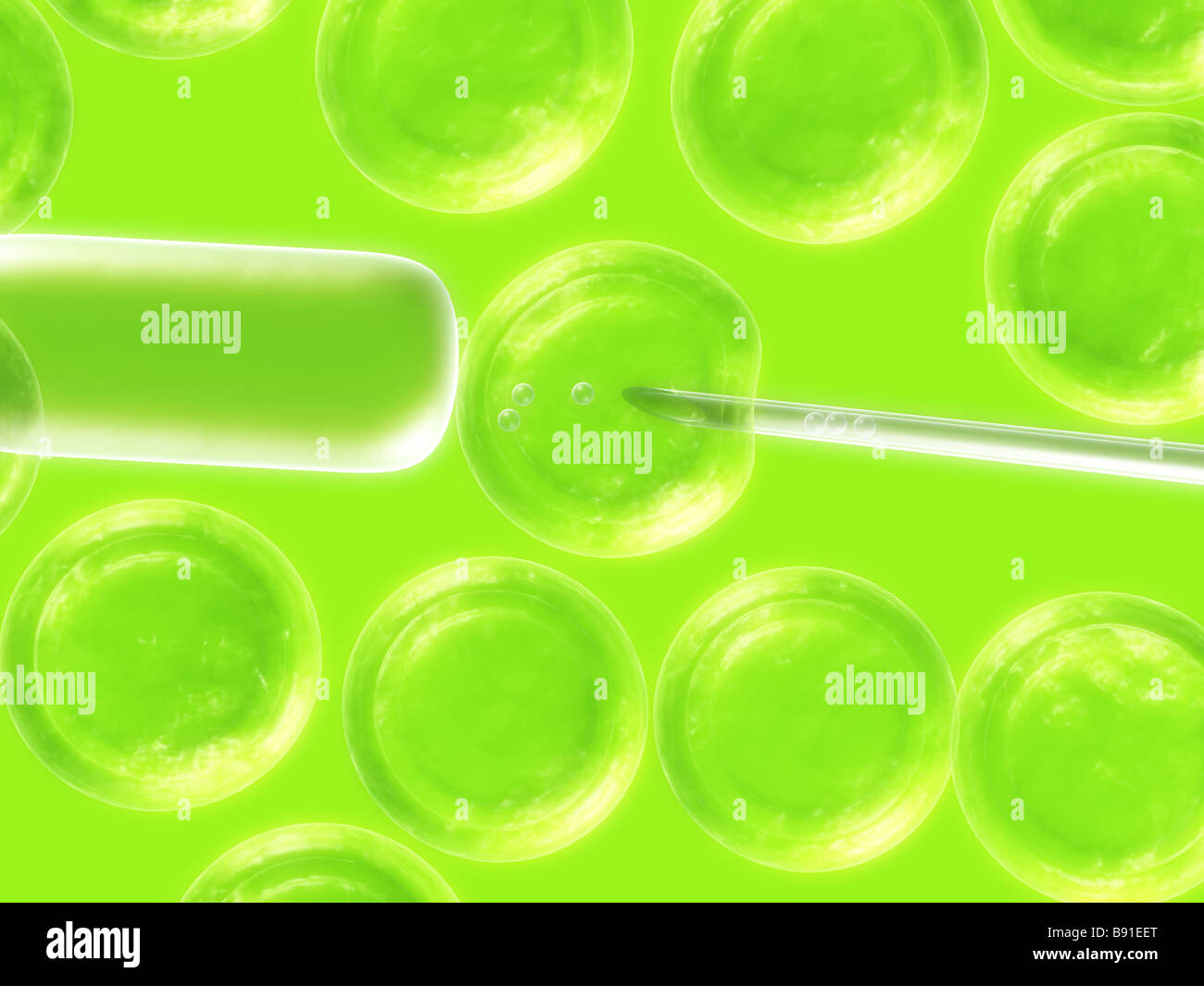 Biology cell microscopy hi-res stock photography and images - Alamy