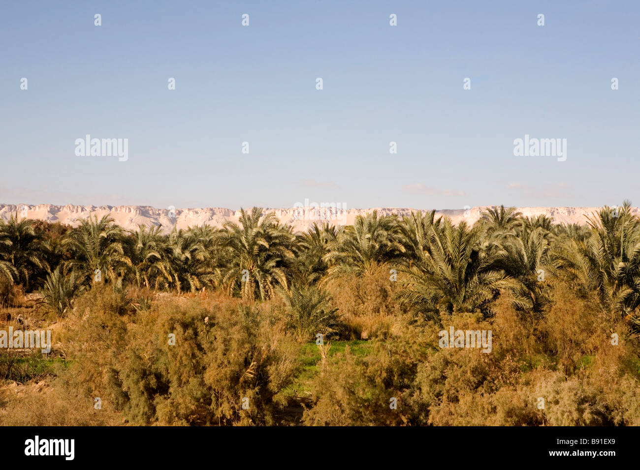 Sunlight catching cliff edge of chalk plateau at Dakhla Oasis. The ...