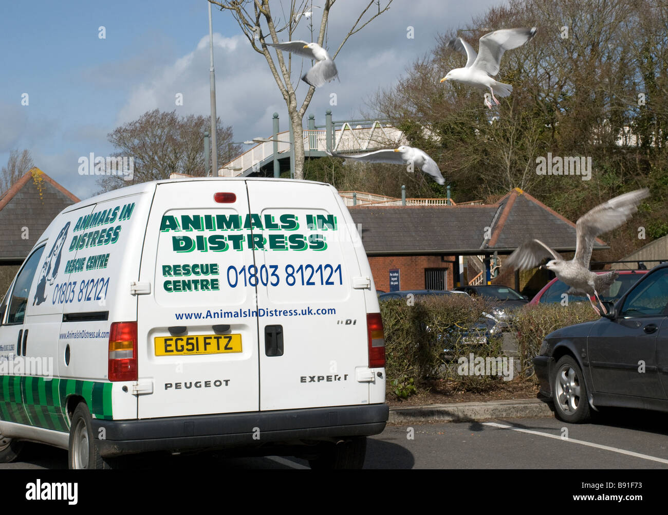 Animals in distress hi-res stock photography and images - Alamy