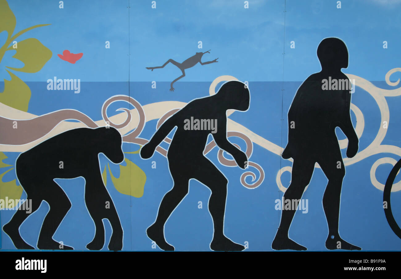 Graffiti on a wall depicting the evolution of man. For Editorial Use ...
