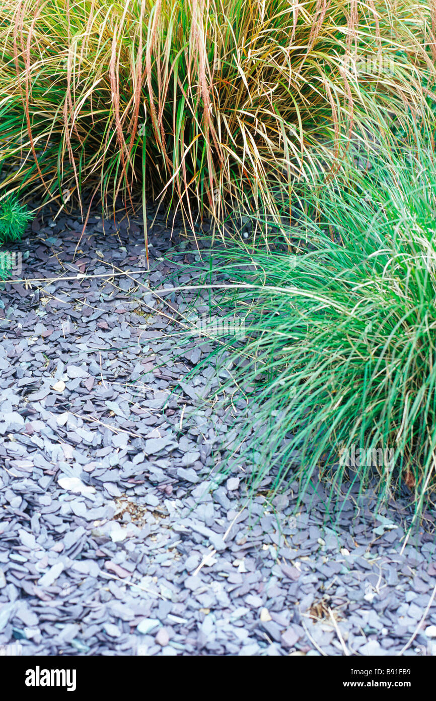 SLATE MULCH AMONGST DECORATIVE GRASSES Stock Photo - Alamy