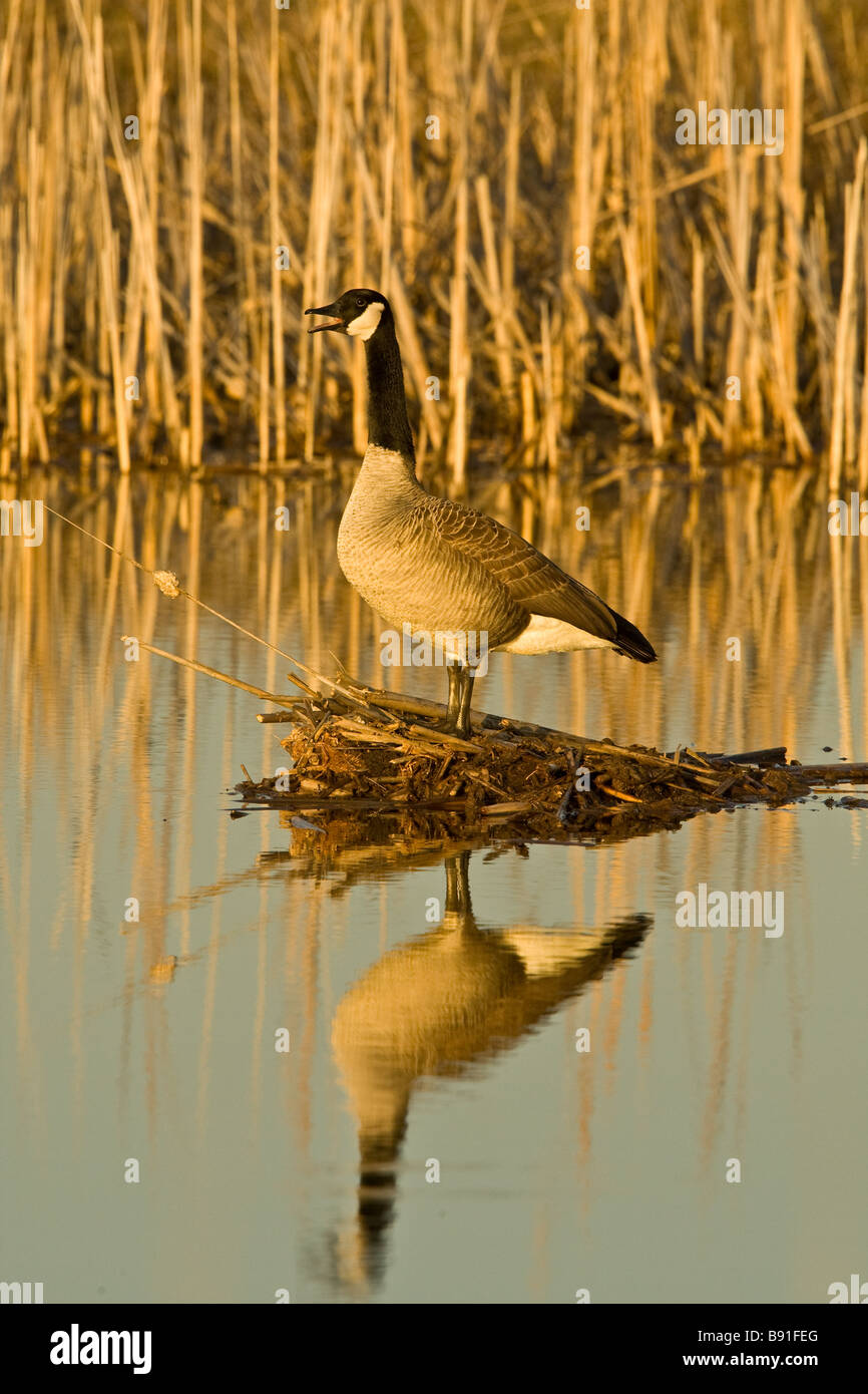 Dublin ohio hi-res stock photography and images - Alamy