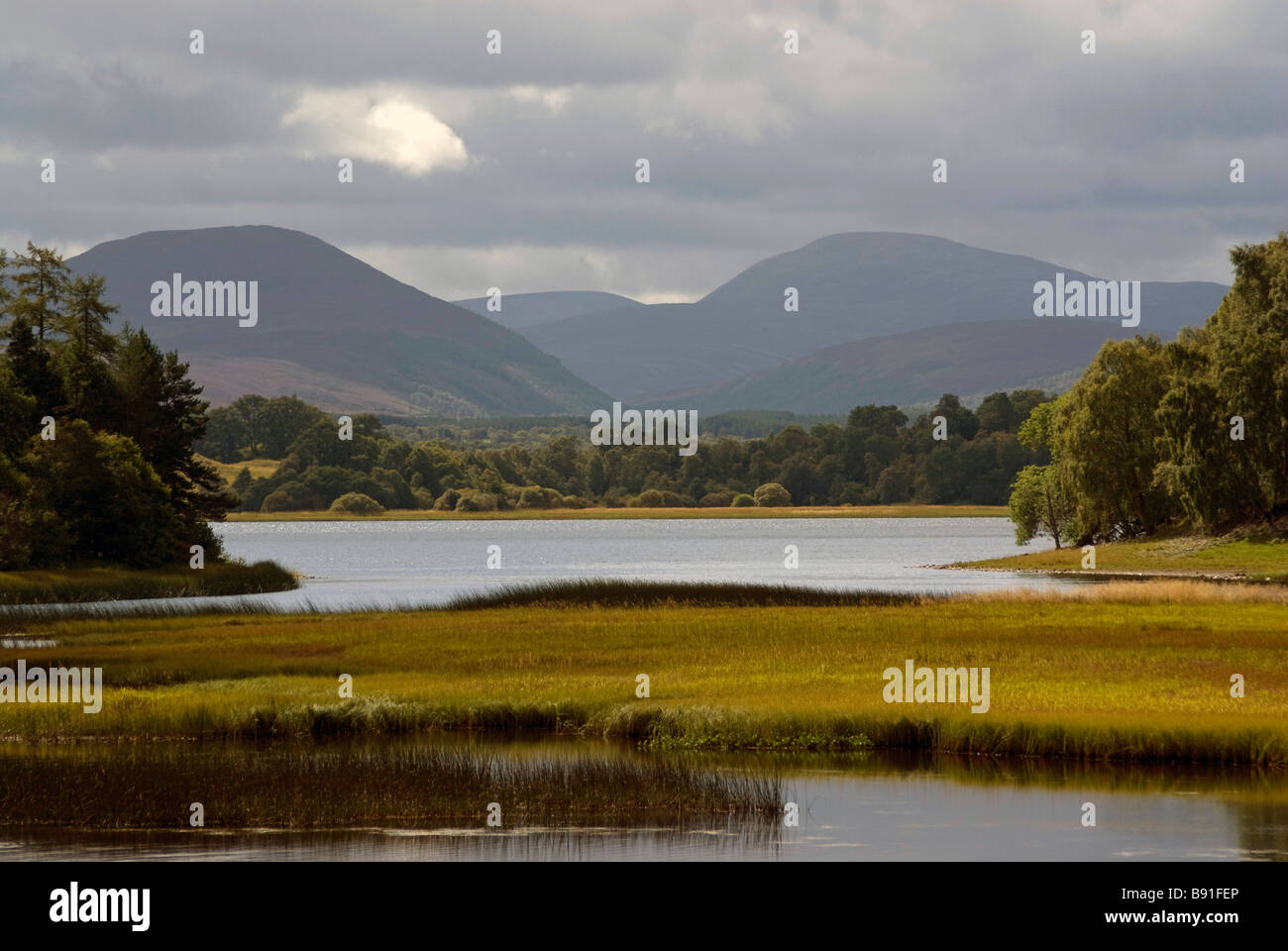 Loch insh sailing hi-res stock photography and images - Alamy