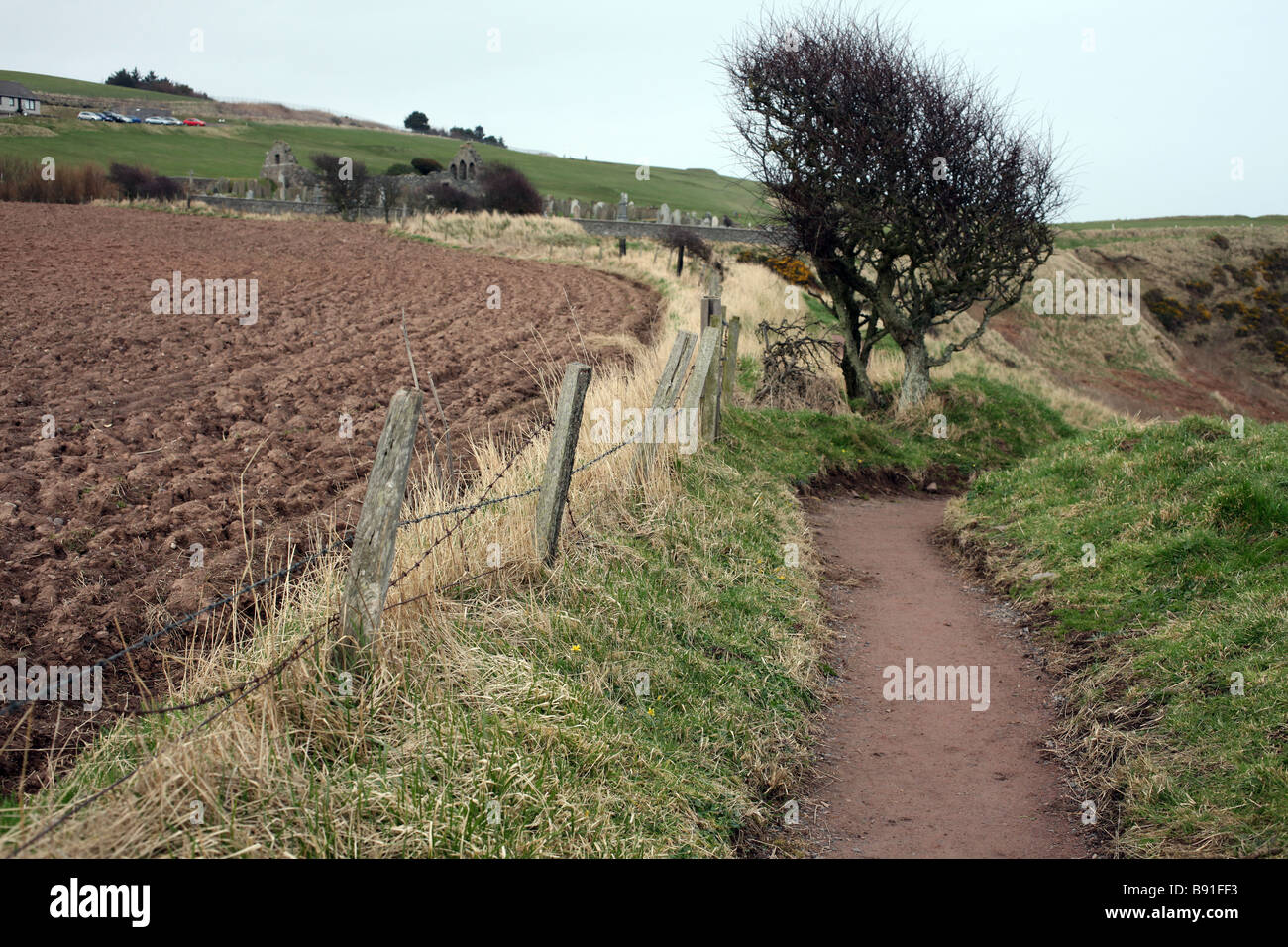 Golf in stonehaven hi-res stock photography and images - Alamy