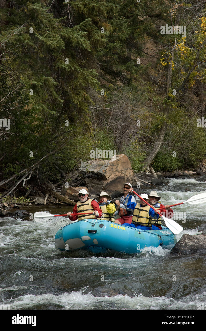 Rafters run the Taylor River upstream from Almont, Colorado Stock Photo ...