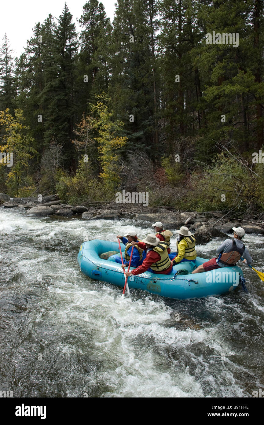 Rafters run the Taylor River upstream from Almont, Colorado Stock Photo ...