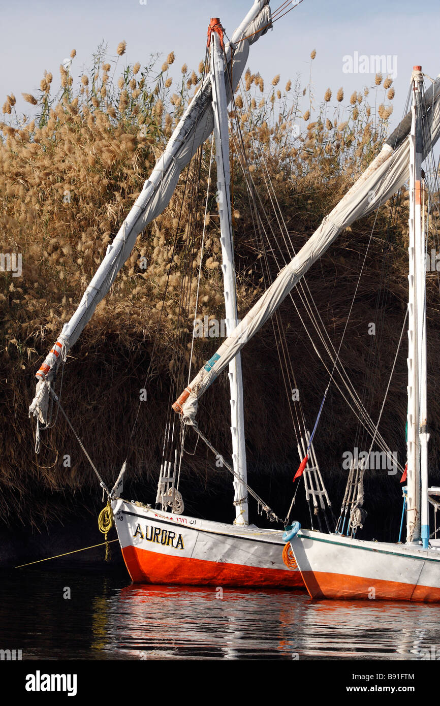 Felucca boats on the river Nile in the city of Aswan in Egypt Stock ...