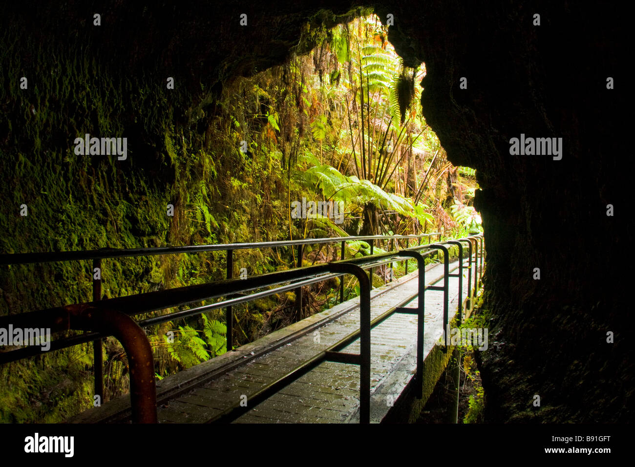 Thurston Lava Tube - Volcanoes National Park, Big Island, Hawaii, USA ...