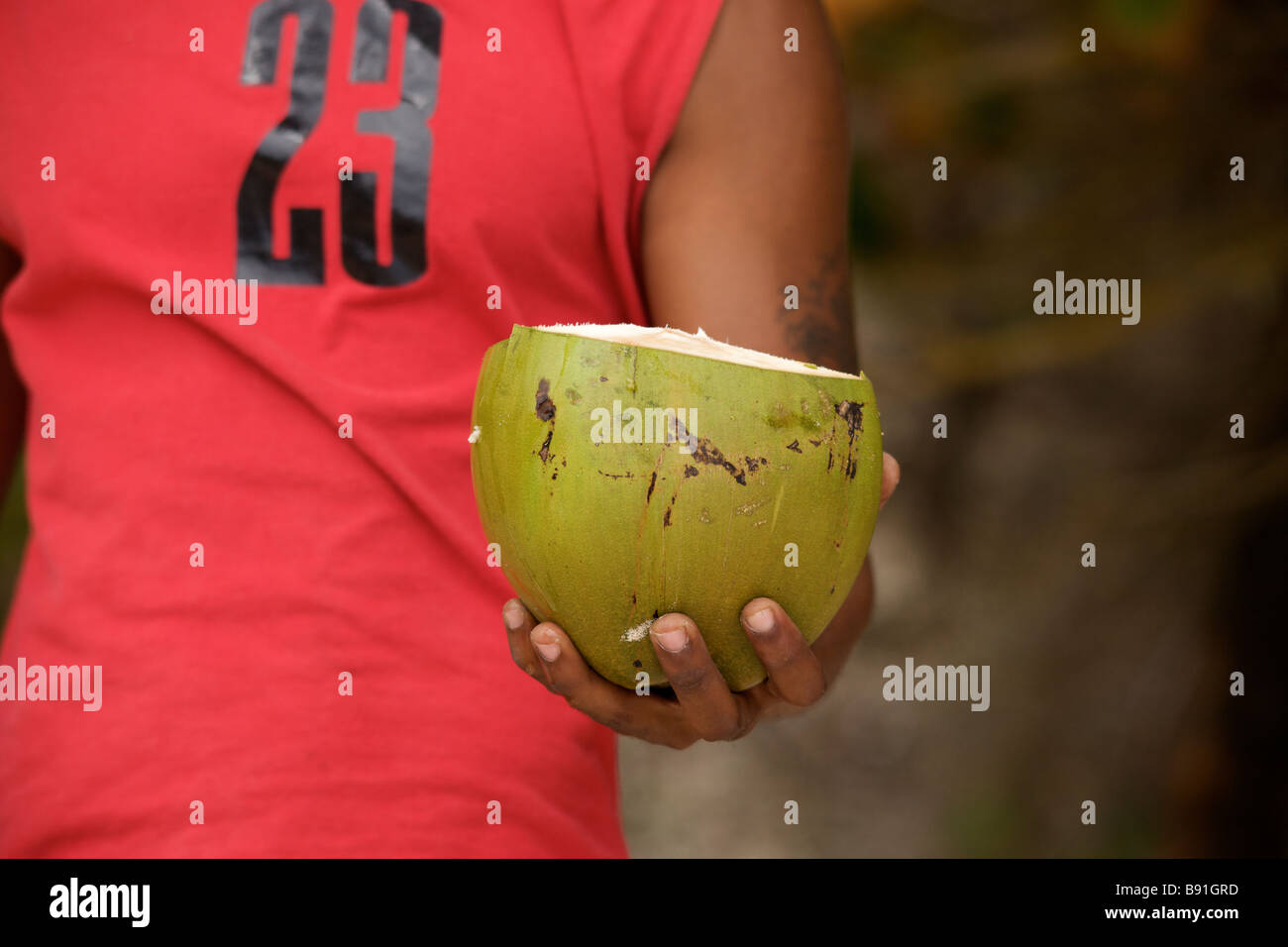 Coconut Craft High Resolution Stock Photography and Images - Alamy