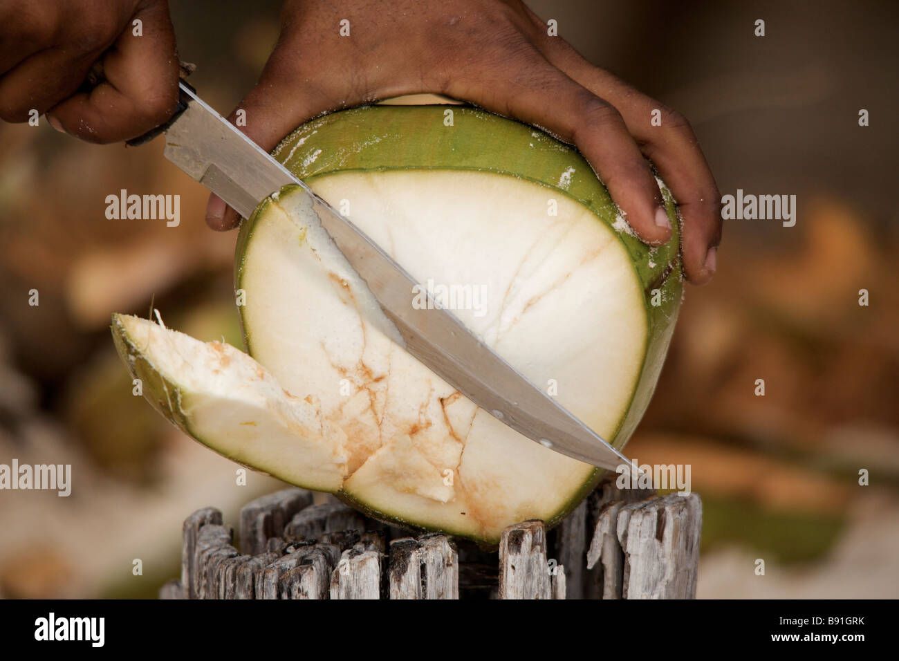 Close up demonstration on how to open a coconut at Crane Beach, West ...
