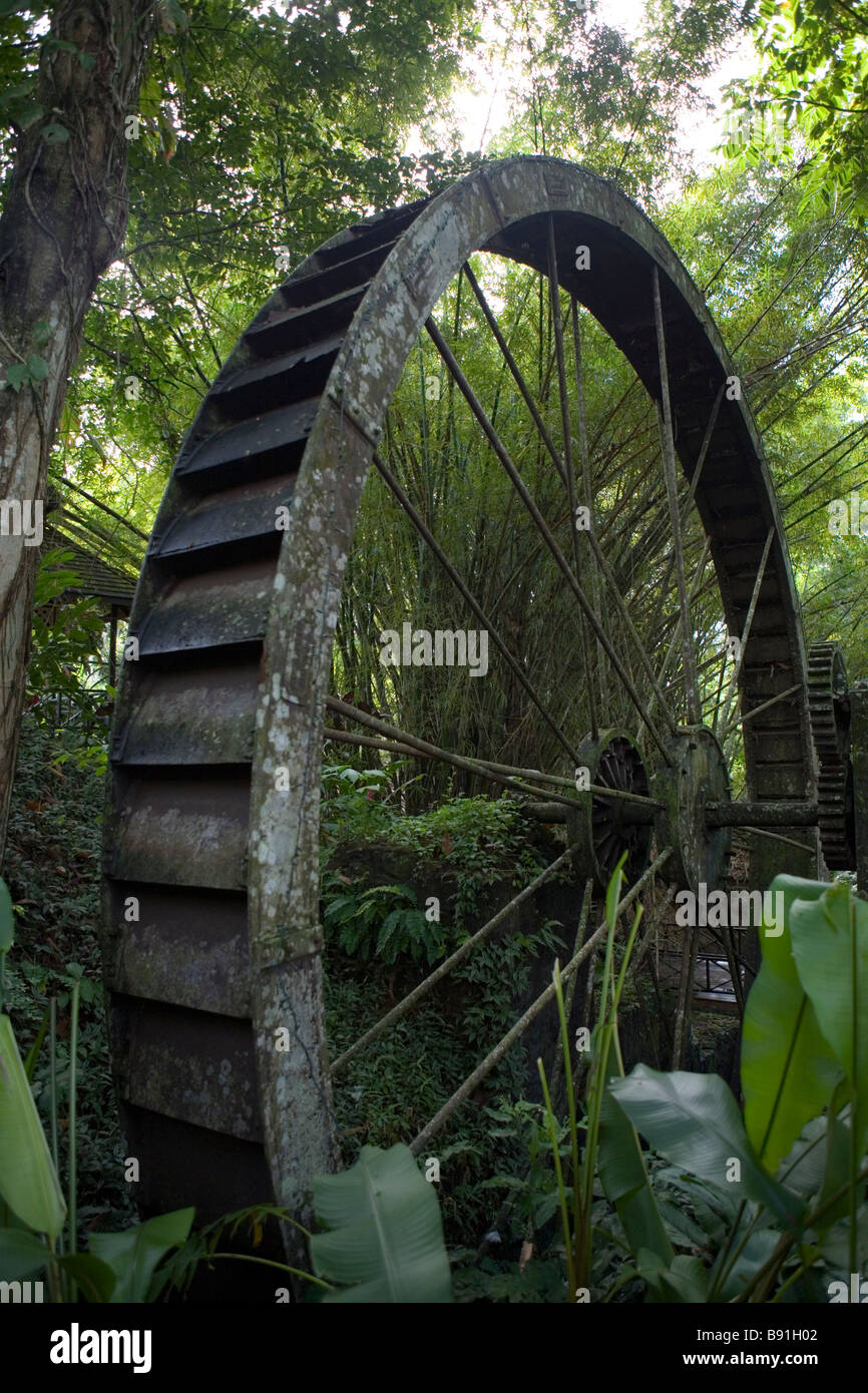 Arnos Vale Waterwheel from abandoned sugar factory in the forest ...