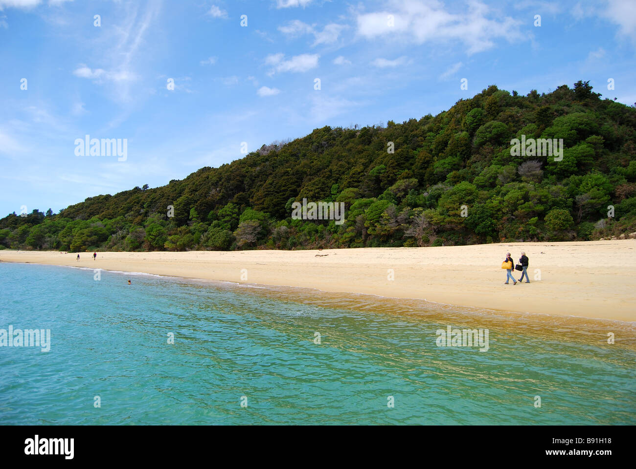 Anchorage Bay, Abel Tasman National Park, Tasman, South Island, New Zealand Stock Photo - Alamy