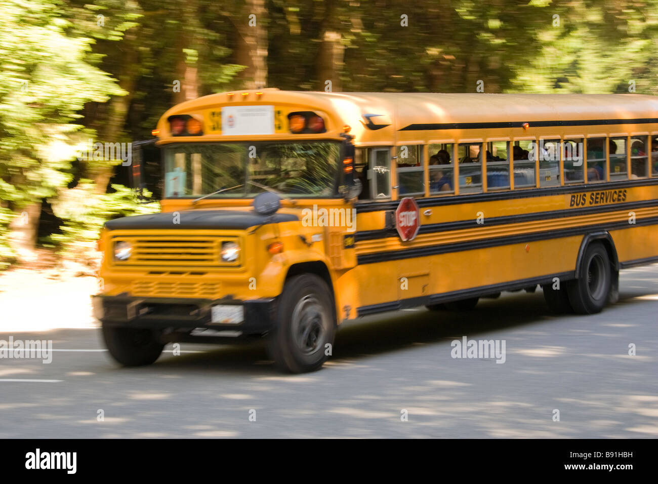 School Bus on Country Road - British Columbia, Canada Stock Photo - Alamy
