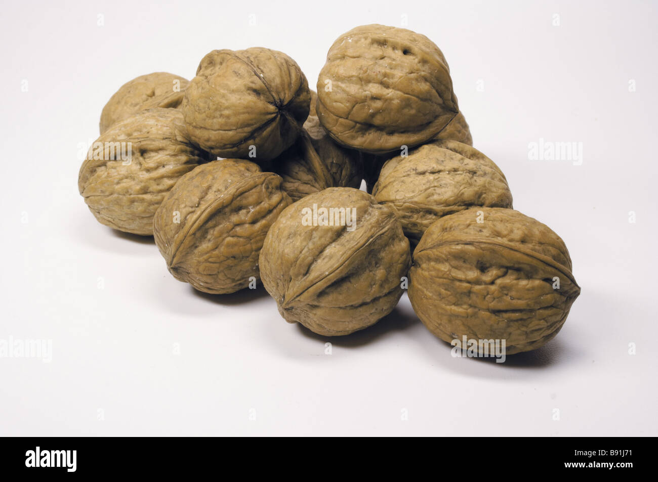 fresh brown nut - walnut Stock Photo - Alamy