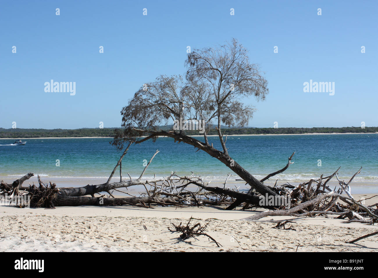 Inskip Point Beach, Near Rainbow Beach, Queensland Stock Photo - Alamy