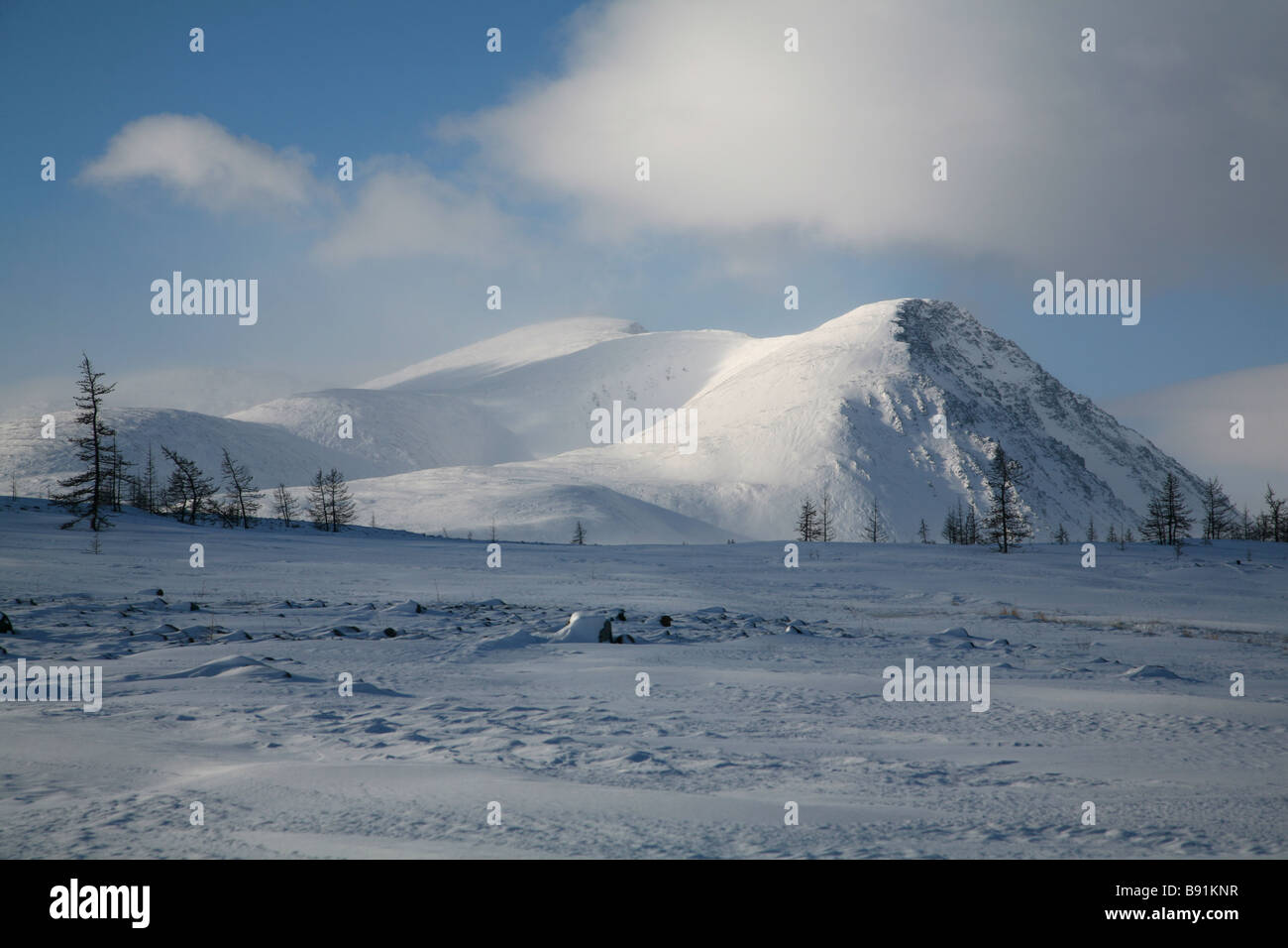 Russia. Yamal Region. Polar Urals. Winter Stock Photo - Alamy