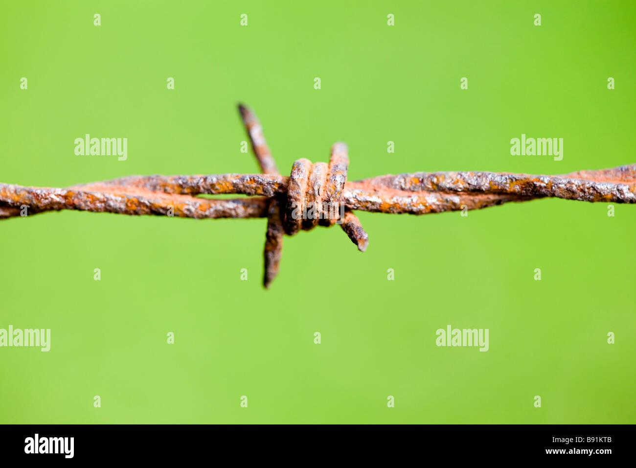 Rusty barbed wire, England UK Stock Photo - Alamy