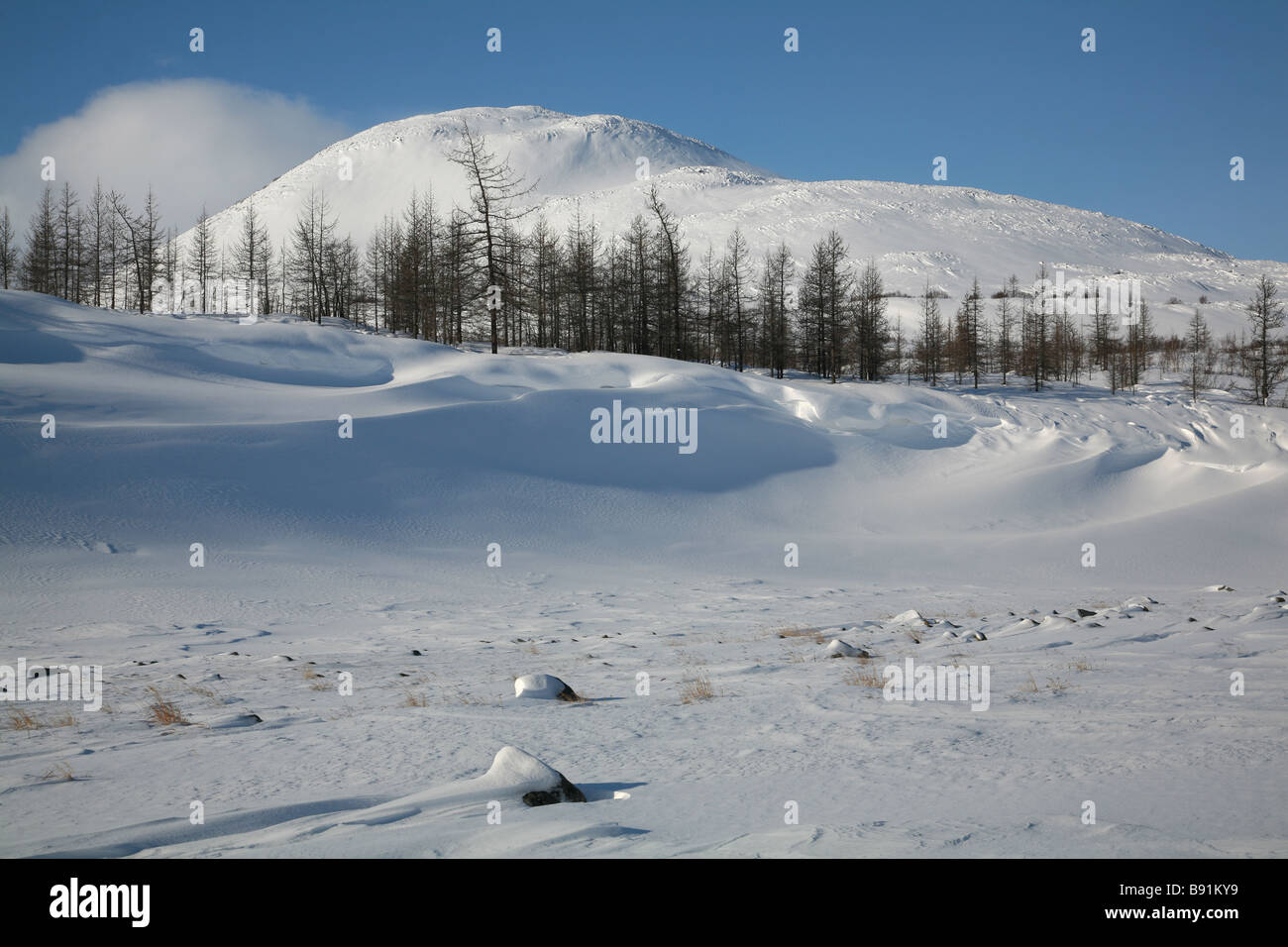 Russia. Yamal Region. Polar Urals. Winter Stock Photo - Alamy
