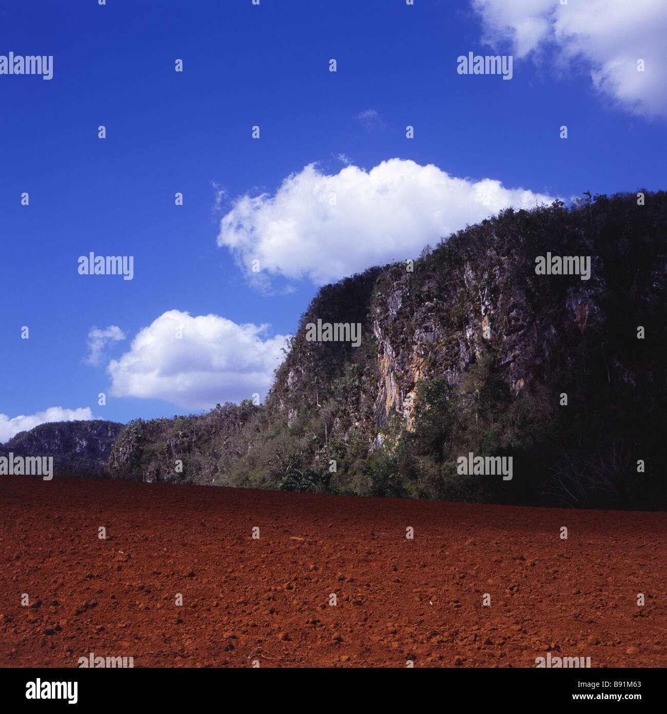 Cuban tilled soil ready for tobacco planting Stock Photo - Alamy