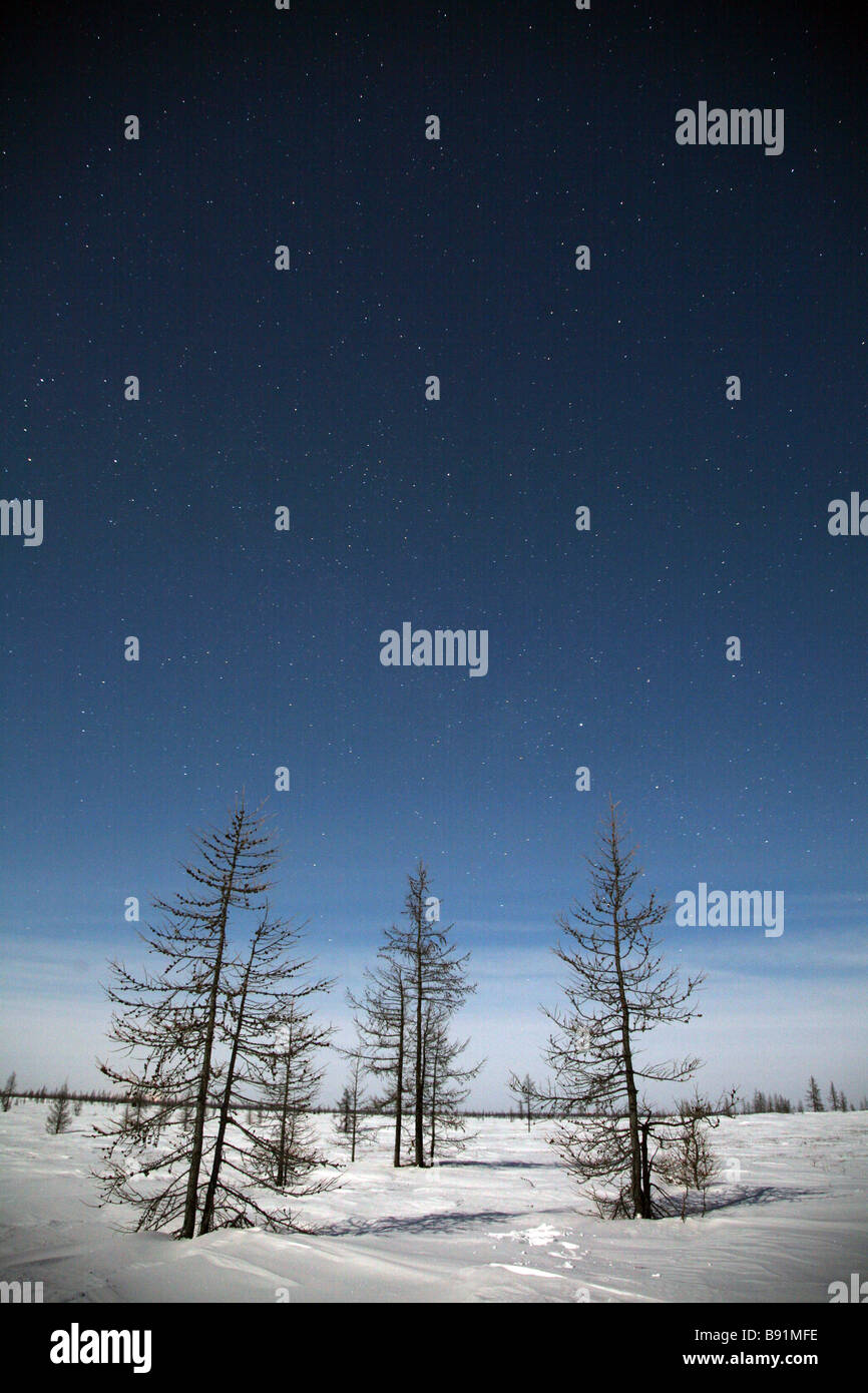 Russia. Yamal Region. Winter. Night. Tundra. The star sky Stock Photo ...