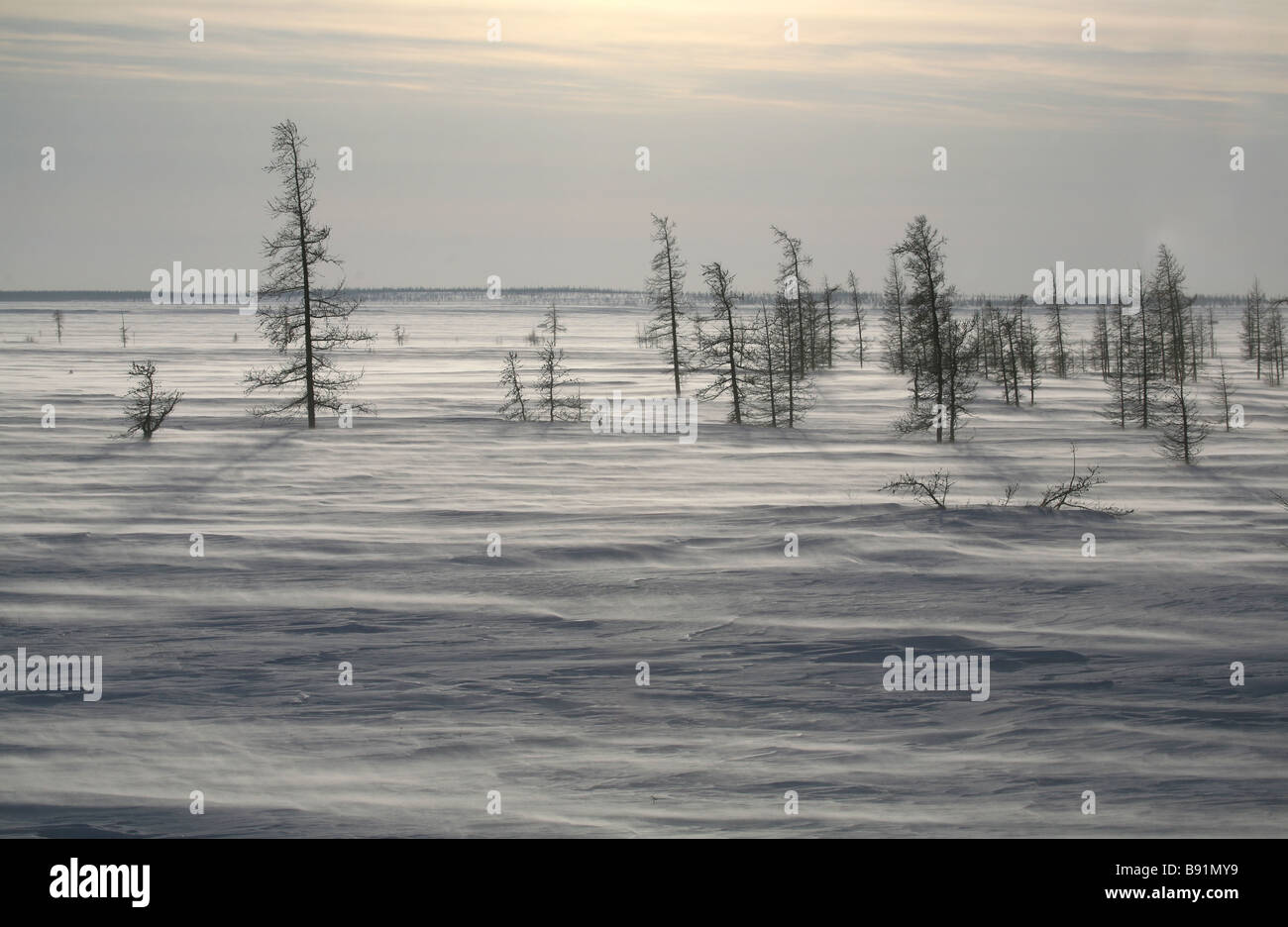 Russia. Yamal Region. Winter Stock Photo - Alamy