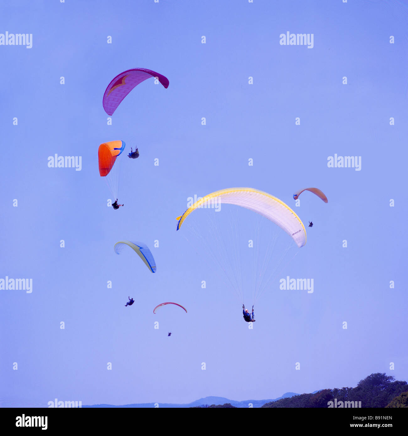 A Group of Paragliders paragliding at Clover Point in Victoria on ...